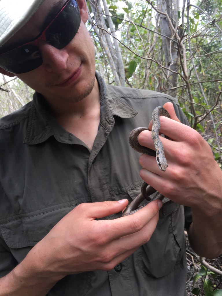 A quick picture update from the Bahamas – Colin Donihue